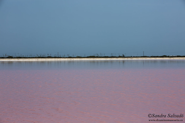 Cómo visitar por libre Las Coloradas, las lagunas rosadas de Yucatán