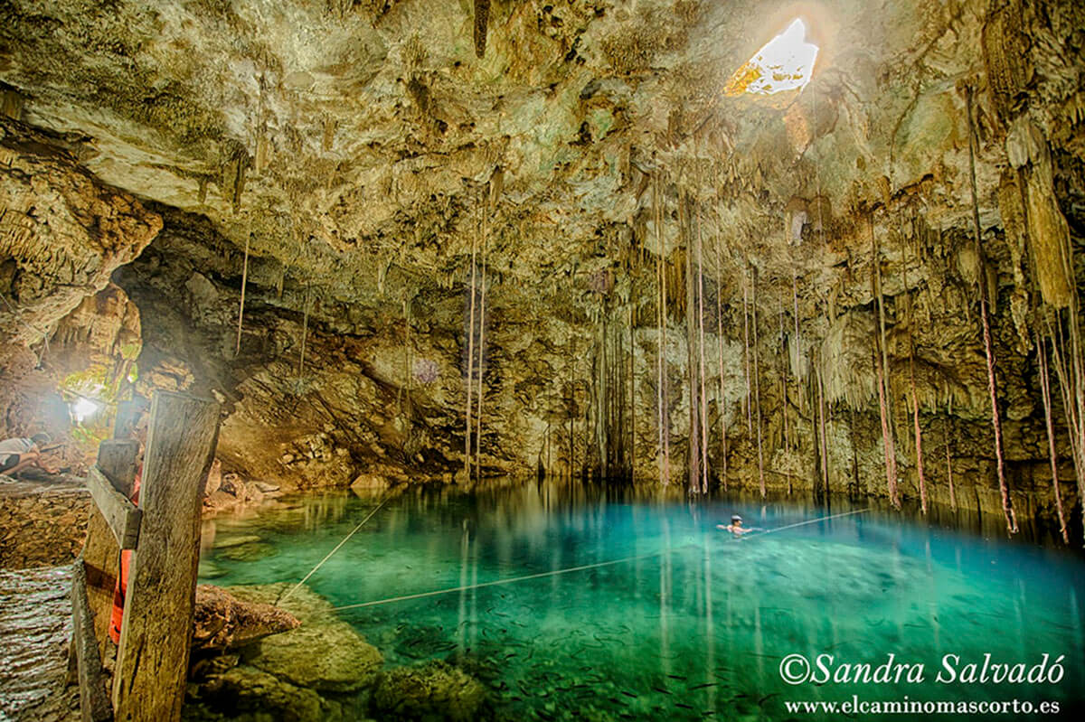 Conoce los mejores cenotes en Valladolid