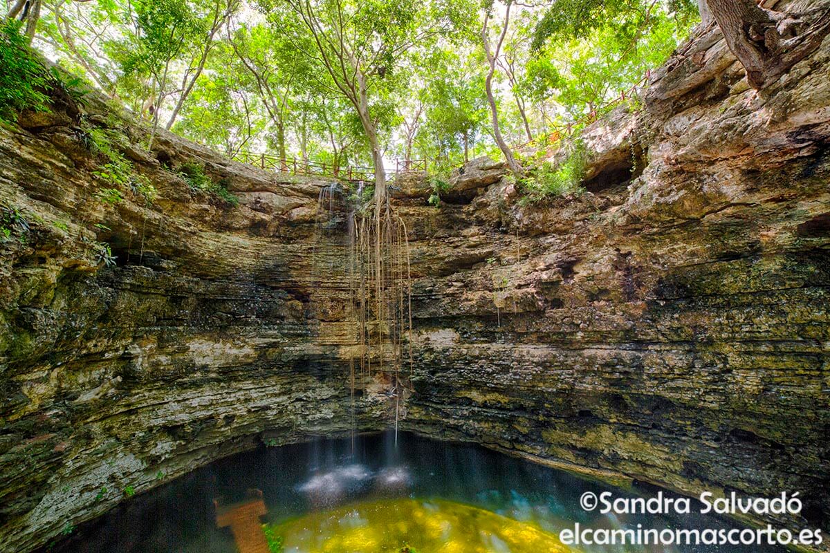 Información del cenote Chichikán y sus 5 experiencias