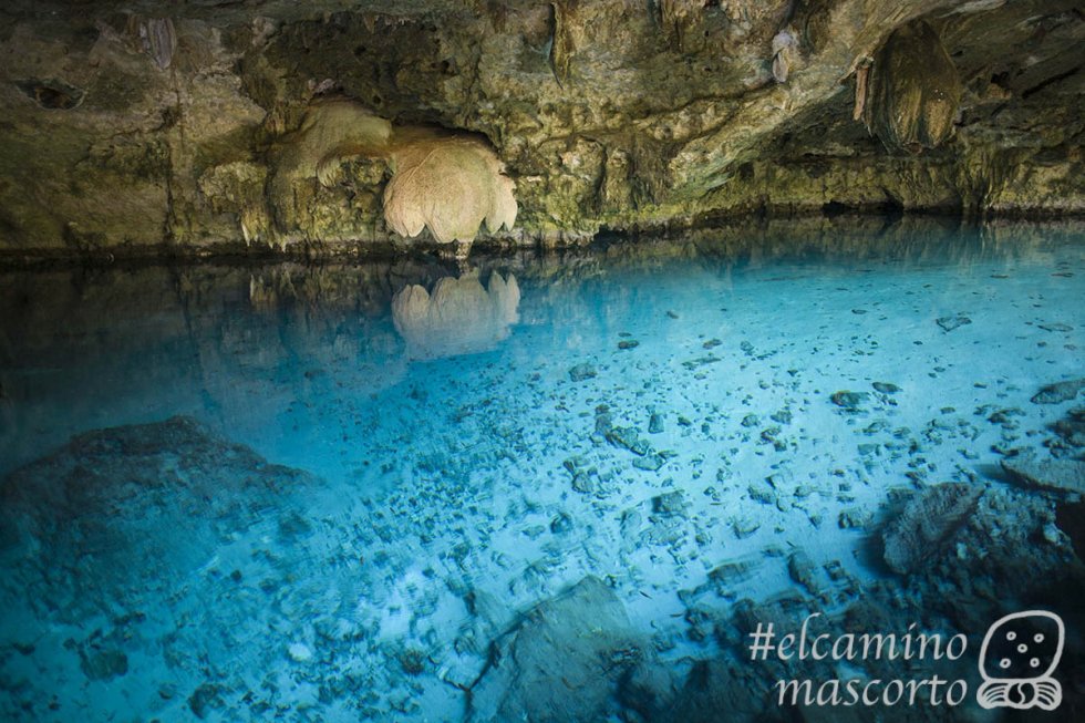 Descubre el cenote Dos Ojos en Tulum, Riviera Maya